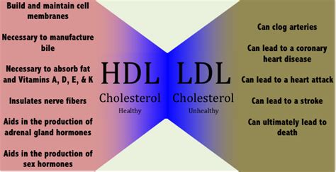 Apsroot Com Types Of Cholesterol