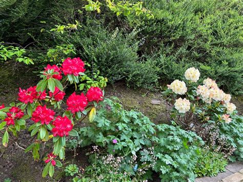 Cameron Adrain On Linkedin Legalrecruitment Fwa