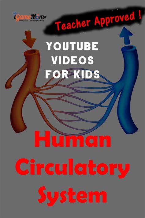 Youtube Science Video Teaching Circulatory System
