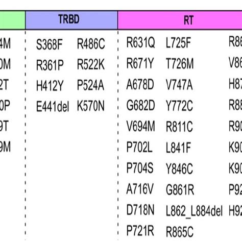 The Structural Scheme For The Four Domains Of The Telomerase Reverse Download Scientific