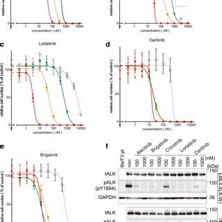 Ceritinib And Brigatinib Overcome Ba F3 Cells With I1171S G1269A