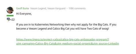 project calico on linkedin kubernetes k8 calicobigcats calicocommunity