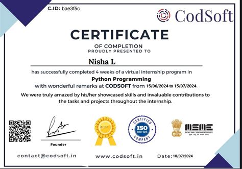 Nisha L On Linkedin Codsoft Cip