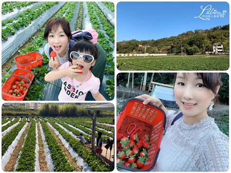 藍鵲渡假莊園：苗栗通霄露營與親子住宿推薦。夢幻童趣合掌村、露營車與免搭帳露營