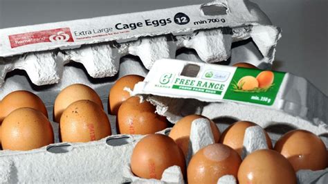 Caged Eggs On Menu As Industry Scrambles Over Phase Out Neos Kosmos