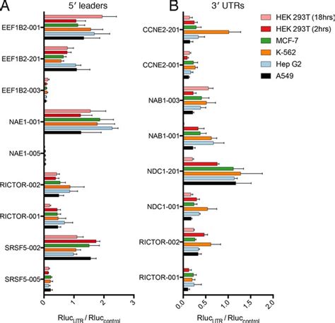 figures and data in tunable protein synthesis by transcript isoforms in