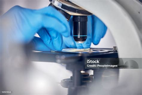 현미경 과학 및 과학자의 손 데이터 또는 Dna 샘플 분석 미생물학 또는 생명 공학 연구 연구 입자 확대 축소 박테리아 및 과학