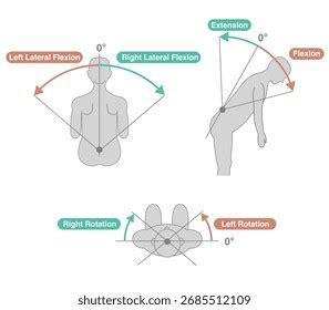 Thoracic Spine Lateral Flexion