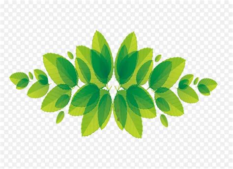 Png Png