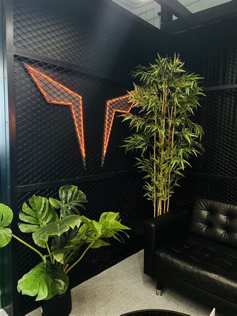 Hello Linkedin Fam Im Excited To Announce That Ive Joined Squatwolf As A Crm Intern This