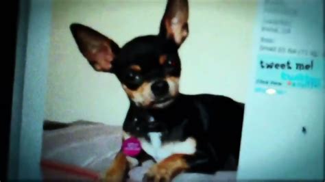 Playboy Playmate Review 2010 Eporner