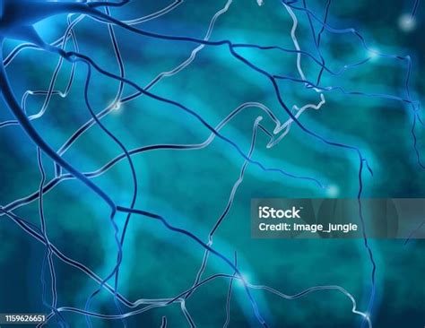 Red Neuronal Con Neuronas Y Sinapsis Ilustración 3d De Fondo Azul Foto