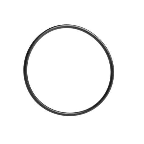 Aquaspeed Pump Strainer Lid ‘o Ring Poolshopuk