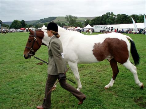 Solve Reeth Yorkshire Dales Jigsaw Puzzle Online With 48 Pieces