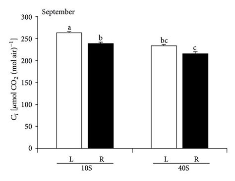Leaf Intercellular Co2 Concentration C I And Photosynthetic Water
