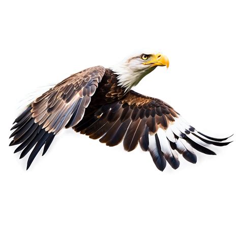 Download Eagle C