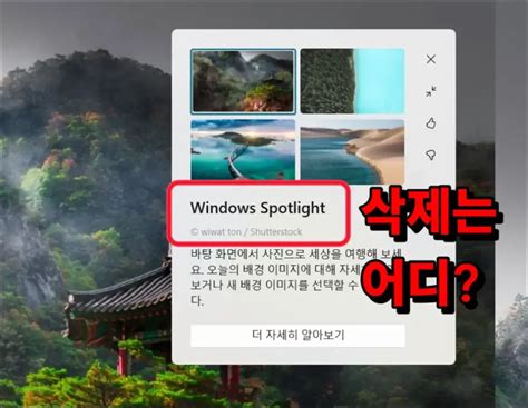 이 사진에 대한 자세한 정보 삭제하기 윈도우11 바탕화면