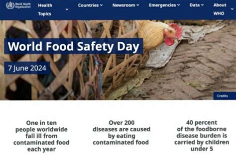 Andualem Girma On Linkedin Foodsafety Hygiene Food Who