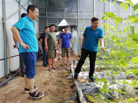 副校长万鹏杰一行到安阳县、内黄县、濮阳县调研“校地结对帮扶”和“驻村定点扶贫”工作 安阳工学院