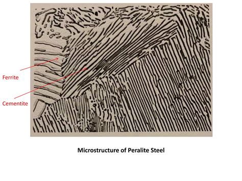 Microstructure Of Low Medium And High Carbon Steels Pptx