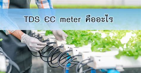 What Does A Tds And Ec Meter Do At Margaret Meldrum Blog