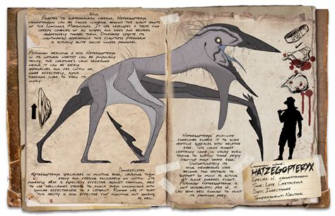 Hatzegopteryx Size