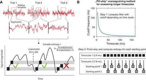 Boosts In Brain Signal Variability Track Liberal Shifts In Decision