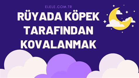 KÖpek Tarafindan Kovalanmak Görmek Rüya Tabiri Köpek Tarafından
