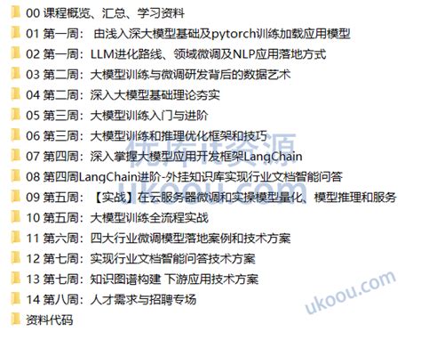 Llm大语言模型算法特训「已完结」 优库it资源网