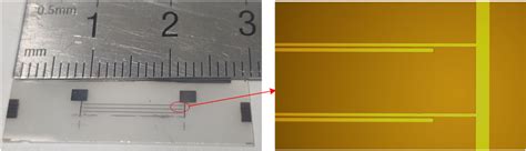 Figure 5 From Grating Assisted Directional Coupler In Lithium Niobate For Tunable Mode Filtering