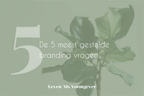 De 5 Meest Gestelde Branding Vragen Leven Als Vormgever