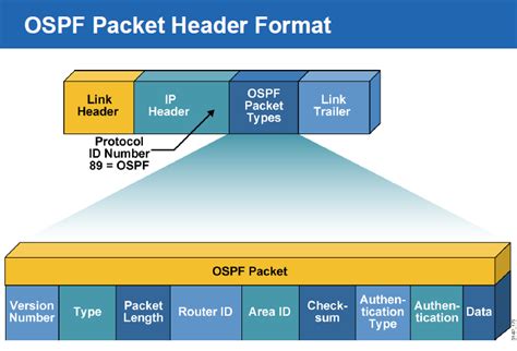 【技术分享】ospf报文类型 哔哩哔哩