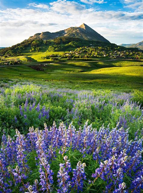 Top 6 Easy Crested Butte Hiking Trails Close To Town