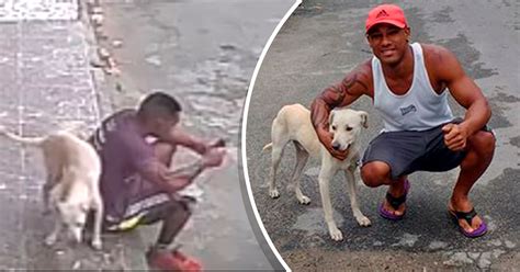 Un Perro Le Orinó La Espalda Y El Casi Lo Golpea Buen Final