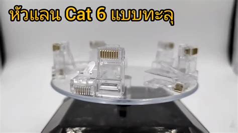 พร้อมส่งจากไทย หัวแลน Rj45 Cat6 แบบทะลุ 1050100ชิ้น Shopee Thailand