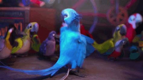 Rio Jewel Rio Jewel Dancing GIF Rio Jewel Rio Jewel Dancing Jewel Rio Discover And Share GIFs