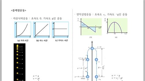 자유낙하운동 연직상방운동 Youtube
