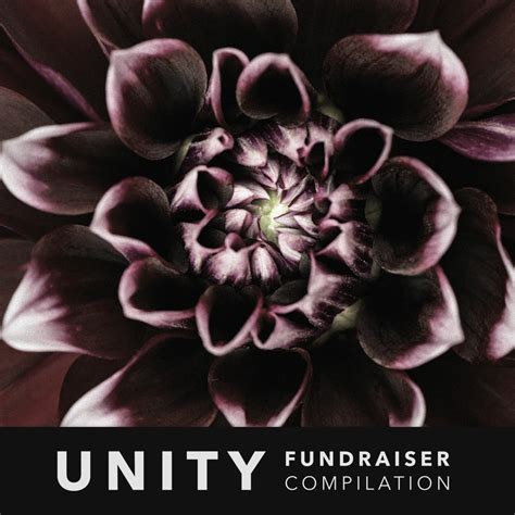 Stream Vast Perception Listen To Unity Fundraiser Compilation