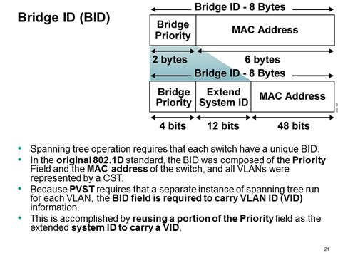 Networking And Scripting Spanning Tree Protocol Ppt