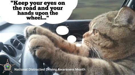 National Distracted Driving Awareness Month 2023 Road Song