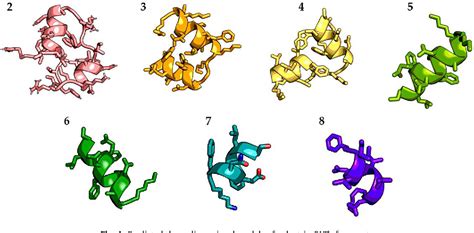 Figure 4 From Exploring The Active Core Of A Novel Antimicrobial