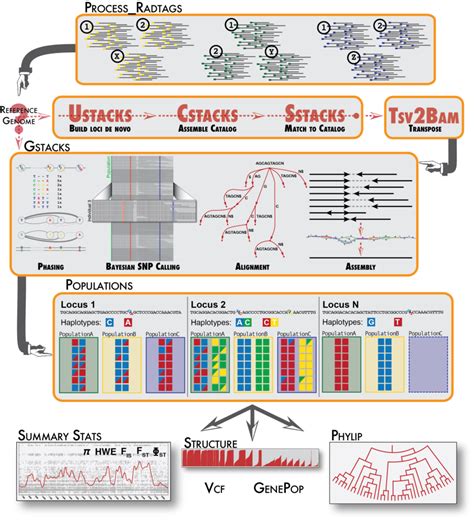Ddradseq Nxtgnt Ghent University Sequencing Core Facility