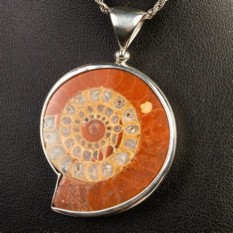 Red Fossil Ammonite Fossil Fragment Metalegoceras Hudsoni Silver Pendant Catawiki