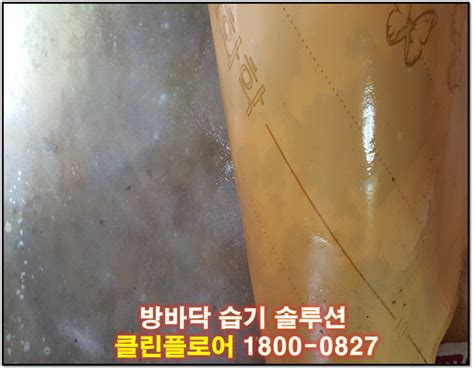 방바닥 습기 이야기2 방바닥 습기 방바닥 결로 반지하방 바닥 습기 원인은 방바닥 콘크리트 네이버 블로그