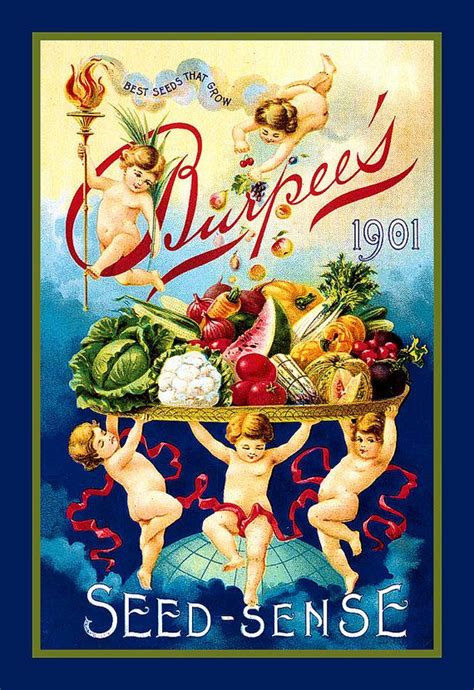 1901 Burpee Seed Catalog Clever Packaging Vintage Seed Packets Seed