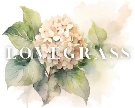 Hydrangea Print Hydrangea Printable Wall Art Hydrangea Art Print