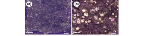 Fracture Surface At Low Magnification Of T1 Ring A And T3 Ring B Download Scientific Diagram