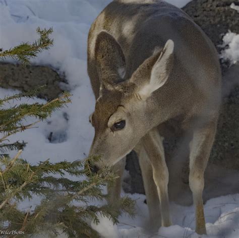 James M Jim Wilce On Linkedin Outdoorswithcamera