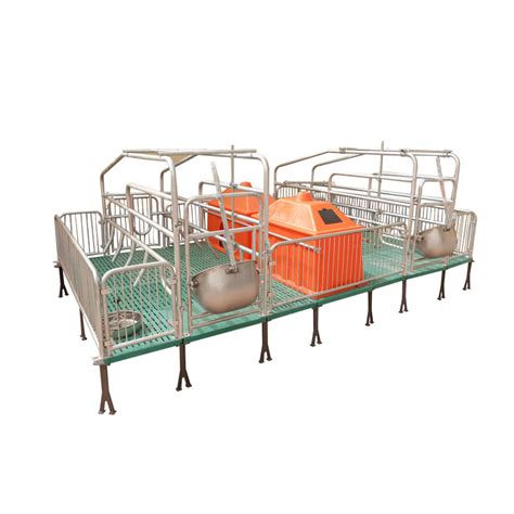 Pig Farrowing Crate With BMC Slatted Floors Pig Farming Equipment