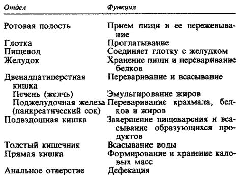 Желудок особенности строения таблица
